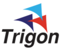 Trignozil Vaginal Tablet 500mg – Trigon Pharmaceuticals